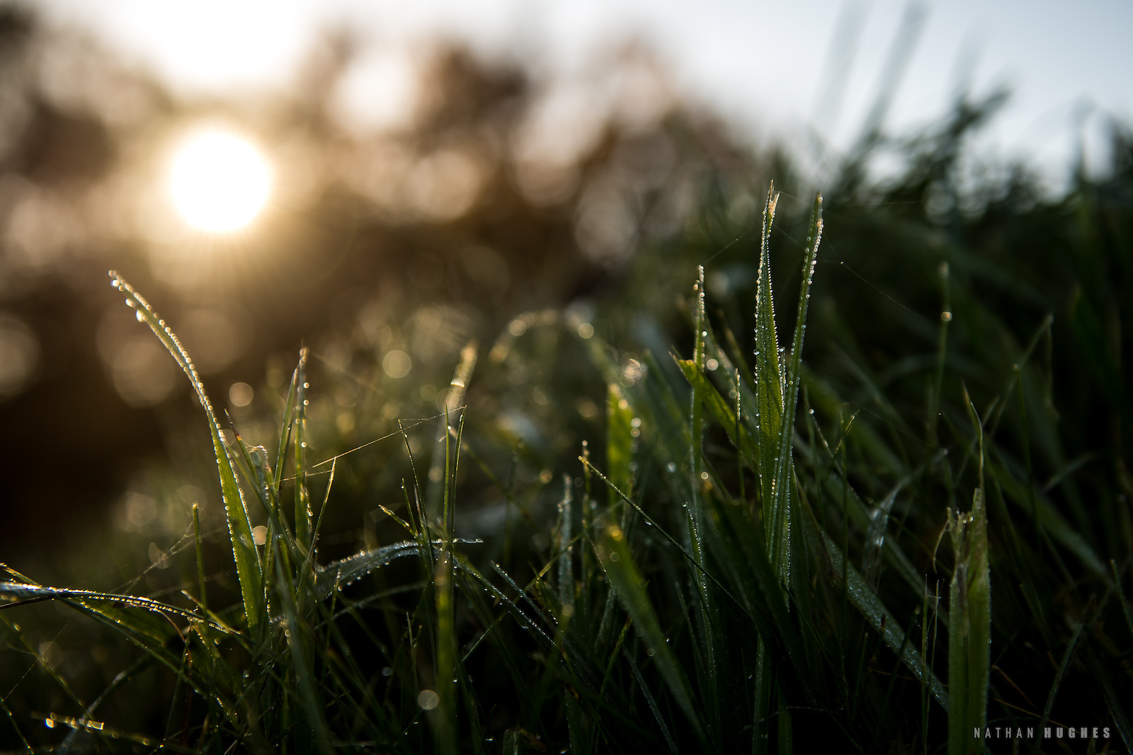 Photo Epic: The Dirt Farmer - At Home with David Trummer - Pinkbike