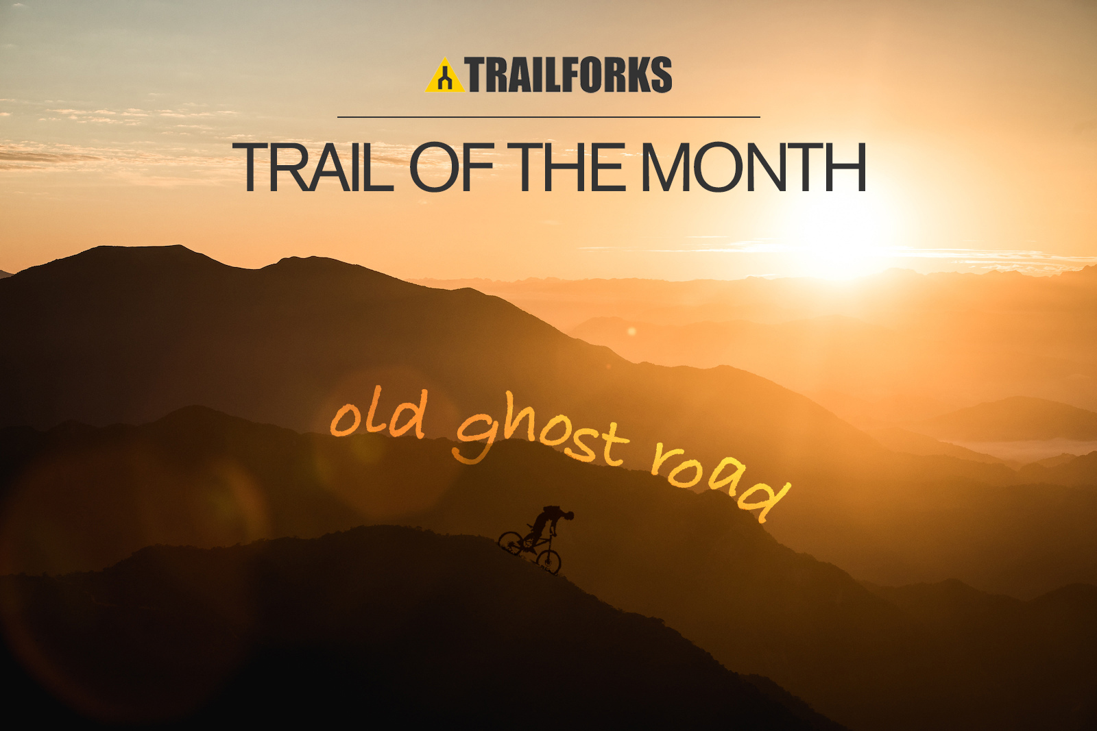 Trailforks Trail of the Month: Old Ghost Road, NZ