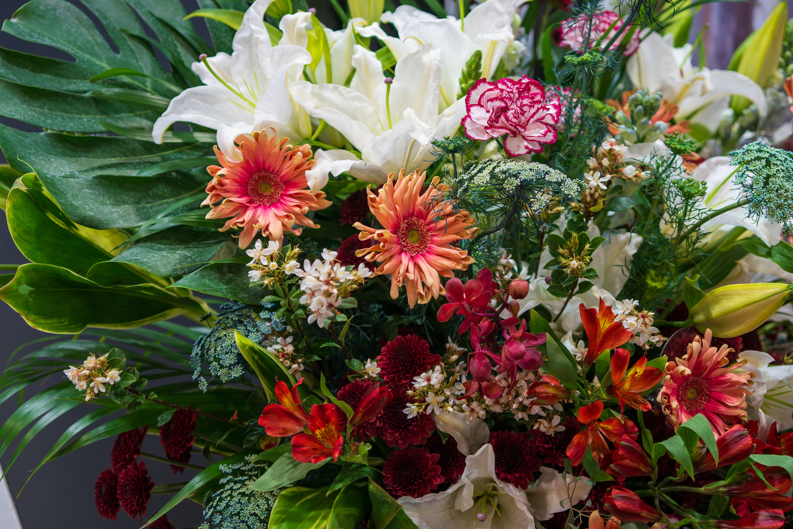 Dario's Day 2 Randoms - Taiwan Cycle Show 2024 - Pinkbike