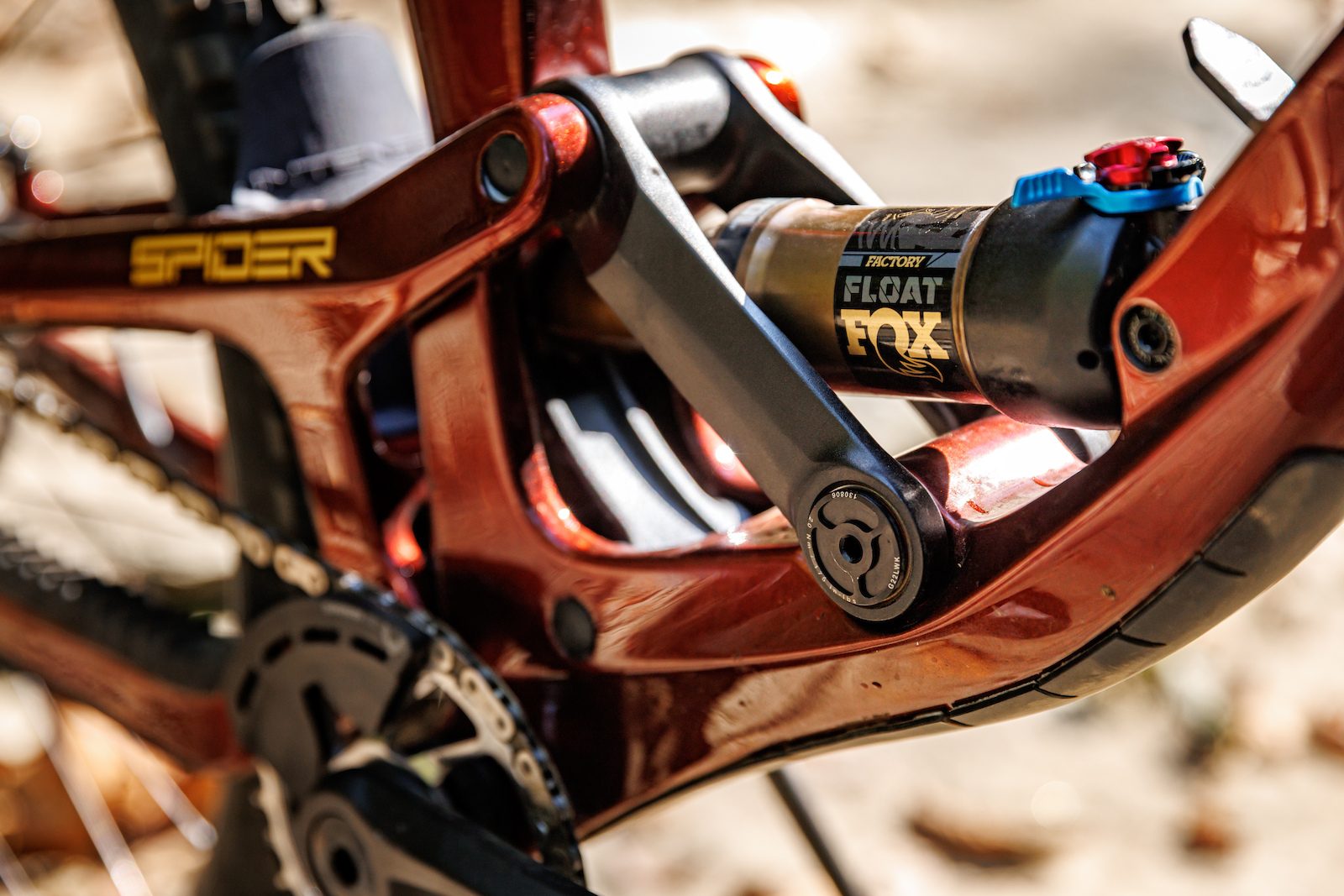 Review: 2026 Intense Spider - The Slalom Specialist - Pinkbike