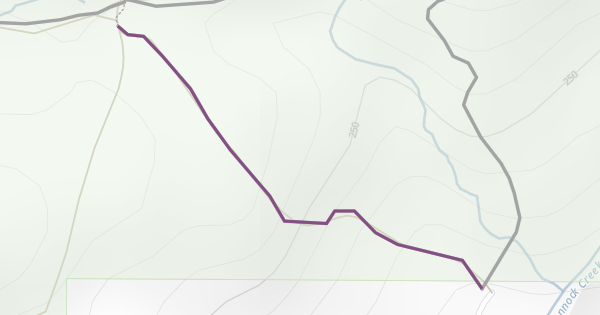 Skidder Mountain Biking Trail - Maple Ridge, BC