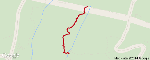 Platinum Mountain Biking Trail - Maple Ridge, BC