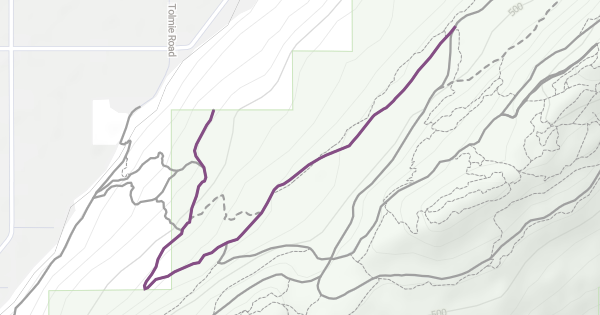 Old Majuba Access Multi Trail - Chilliwack, BC