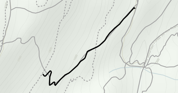 Mongo Mountain Biking Trail - Chilliwack, BC