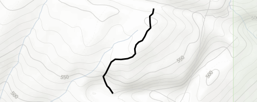 Gold Mountain Biking Trail - Woodlot, Maple Ridge, BC