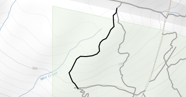 Gold Mountain Biking Trail - Woodlot, Maple Ridge, BC