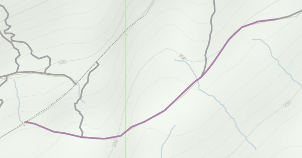 Road out from snakes and ladders Mountain Biking Trail - Maple Ridge