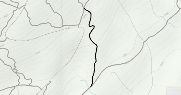 Snakes and Ladders Mountain Biking Trail - Maple Ridge