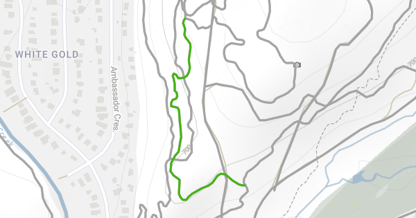 Gypsy Drum Mountain Biking Trail - Whistler, BC