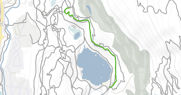 Molly Hogan Mountain Biking Trail - Whistler, BC