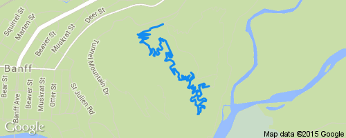 Topp Notch Mountain Biking Trail - Banff, AB