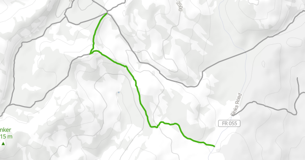 Peter Sinks Mountain Biking Trail - Logan, Utah