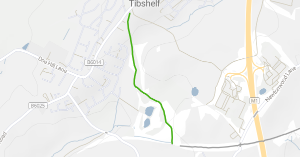 five pits trail - high street to silverhill trail Mountain Biking Trail