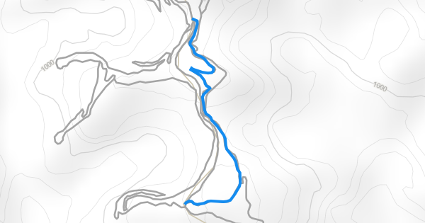 Goanna Mountain Biking Trail - Glengarry | Trailforks