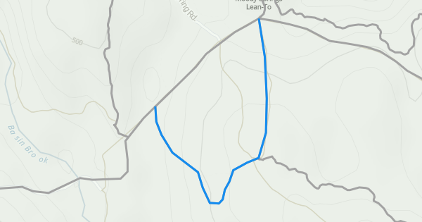 Moody Springs Loop Mountain Biking Trail - Hawley, MA