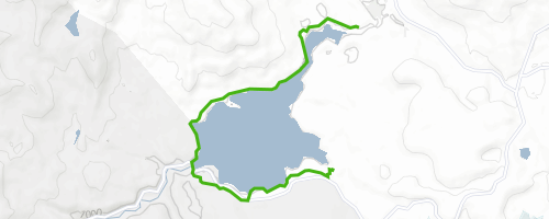 Timothy Lake Mountain Biking Trail - Government Camp, OR