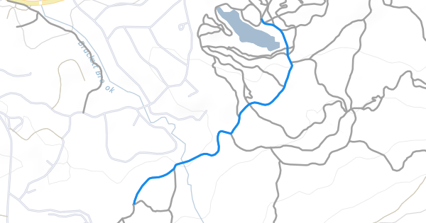 Snowbrook Trail Mountain Biking Trail - Carrabassett Valley