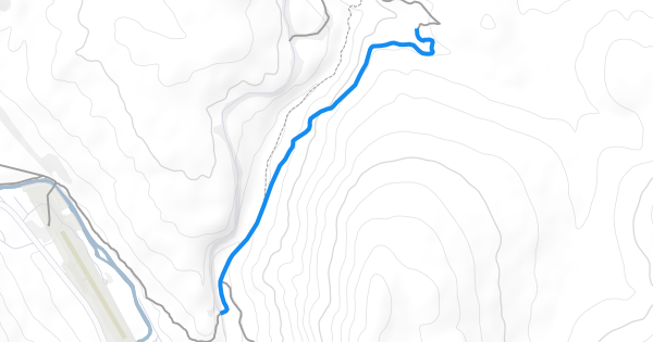 Poplar Stream Trail (Maine Hut Trail) Multi Trail - Carrabassett Valley