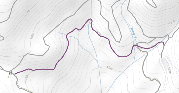 Kit Carson Loop Road Mountain Biking Trail - Spokane