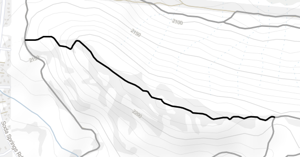 Forest Service Ridge Singletrack Multi Trail - Truckee