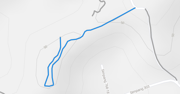 Bullet hill Mountain Biking Trail - Labi, Tutong