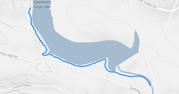 Speedwell Lake Trail Multi Trail - Brickerville, PA