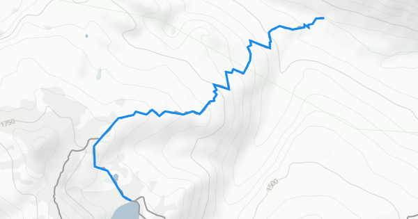 Raven Lake Trail Hiking Trail - Prince George, BC