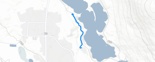 Morfee Lake Trail Multi Trail - Mackenzie, BC