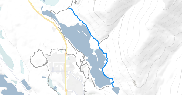 Morfee Lake Trail East Multi Trail - Mackenzie, BC