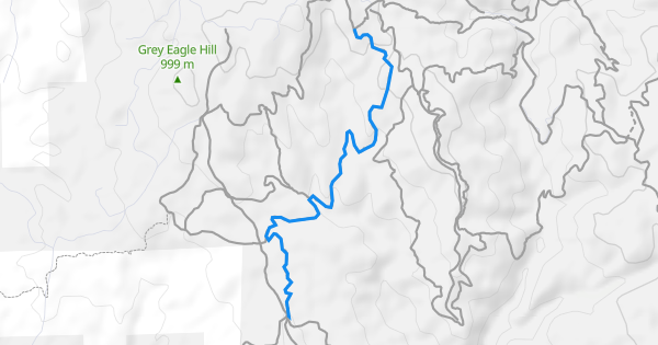 Darling Ridge to Mace Mill to Rock Creek Multi Trail - Georgetown