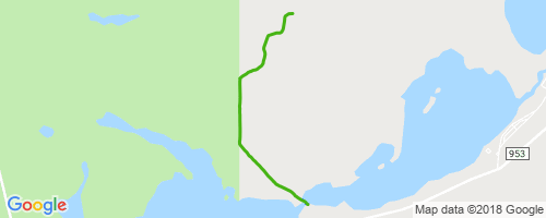 Tower Road Trail Mountain Biking Trail - Anglin Lake