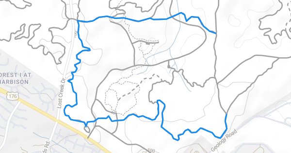 Firebreak Trail Mountain Biking Trail - Columbia, SC