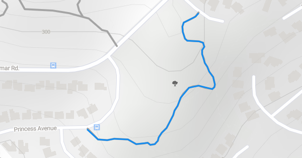 Braemar Park Mountain Biking Trail - North Vancouver, BC