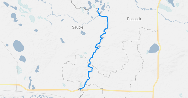 NCT - Timber Creek Section (NCT M-10 to 5 Mile Road) Multi Trail - Manistee