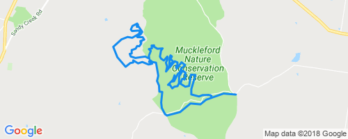 Muckleford Trails North Loop Mountain Biking Trail - Castlemaine