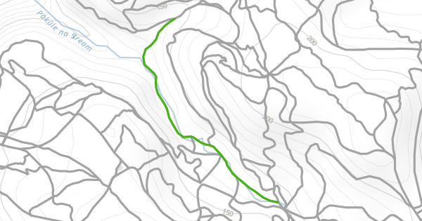 Jungle Mountain Biking Trail - Pupukea, Hawaii