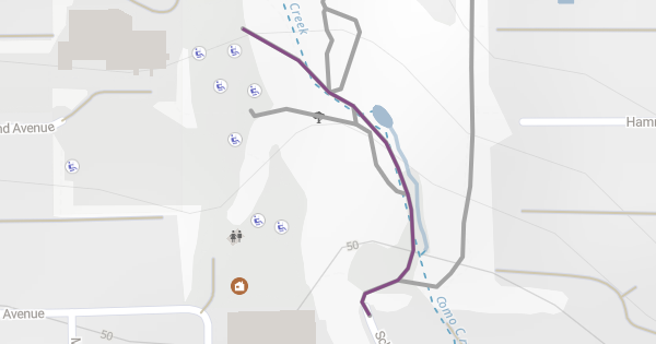 Rochester Path 2 Mountain Biking Trail - Coquitlam