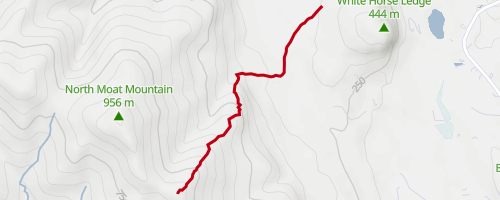 Red Ridge Trail (Yellow) Multi Trail - Conway, NH