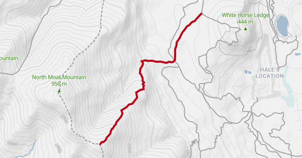 Red Ridge Trail (Yellow) Multi Trail - Conway, NH