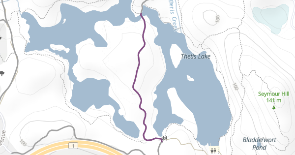 Lower Thetis Lake Trail Multi Trail - Victoria, BC