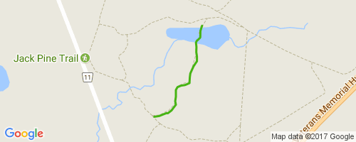 Jack Pine Trail - 26C to 26G Mountain Biking Trail - Nepean