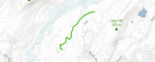 Gp Inside Loop Mountain Biking Trail - Chester, New York