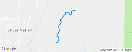 Root Rider Mountain Biking Trail - Maple Ridge, BC