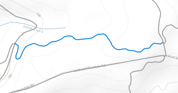 Catamount Trail (Upper) Mountain Biking Trail - Salem
