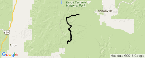 Grand View Mountain Biking Trail - Panguitch, Utah