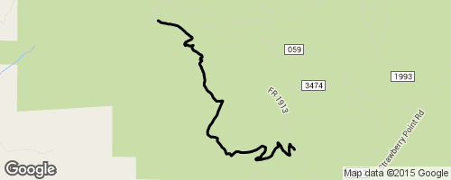 Virgin River Rim Mountain Biking Trail - Brian Head, Utah