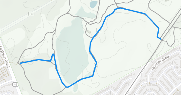 Old Quarry Trail - South Tract Mountain Biking Trail - Nepean