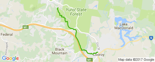 Cooroy Wanderer Mountain Biking Trail - Noosa Heads