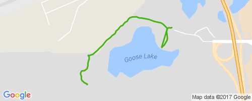Goose lake trail???? Mountain Biking Trail - Shelton, WA
