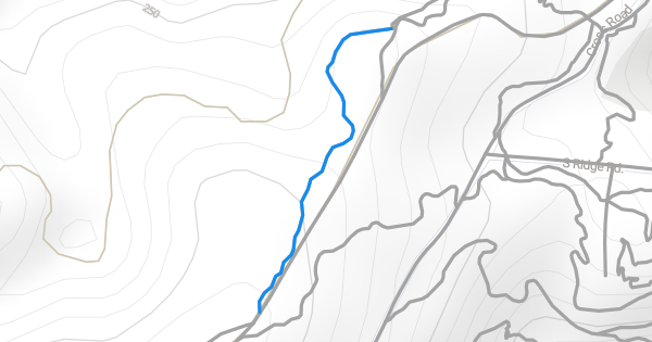 Jumpy Middle Mountain Biking Trail - Oamaru | Trailforks